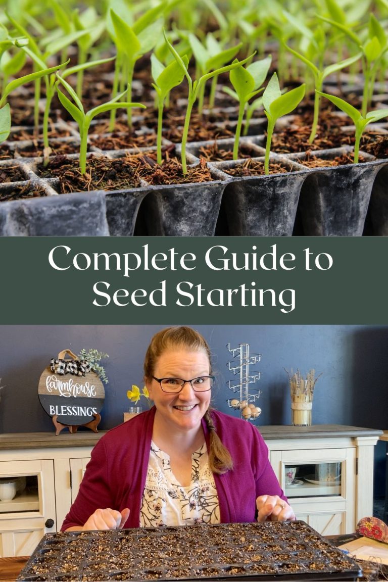Seed Starting Tips and Tricks for the Beginner - From the Roots up