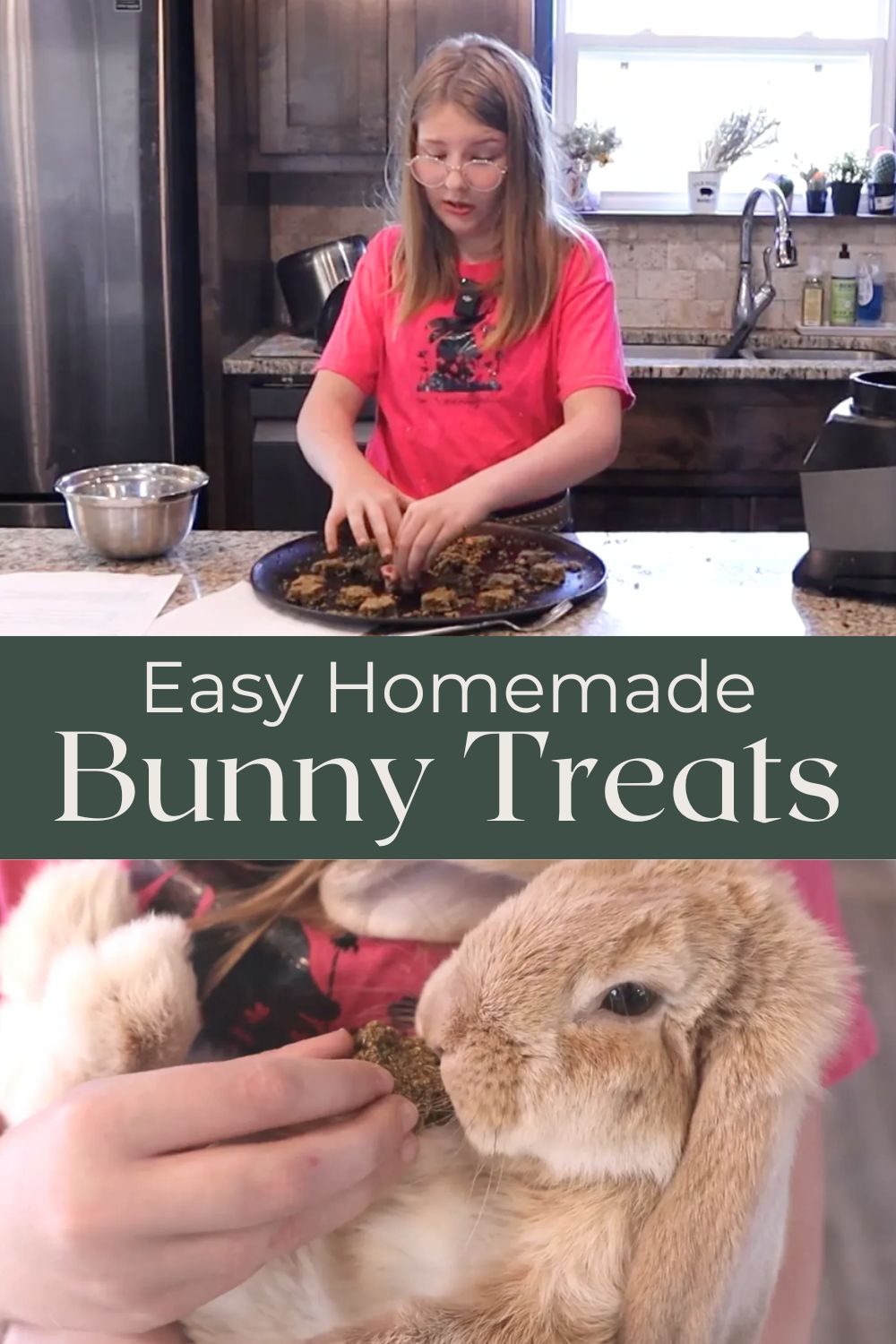 Bunny Biscuits Recipe: Healthy Treats for Your Rabbit - From the Roots up