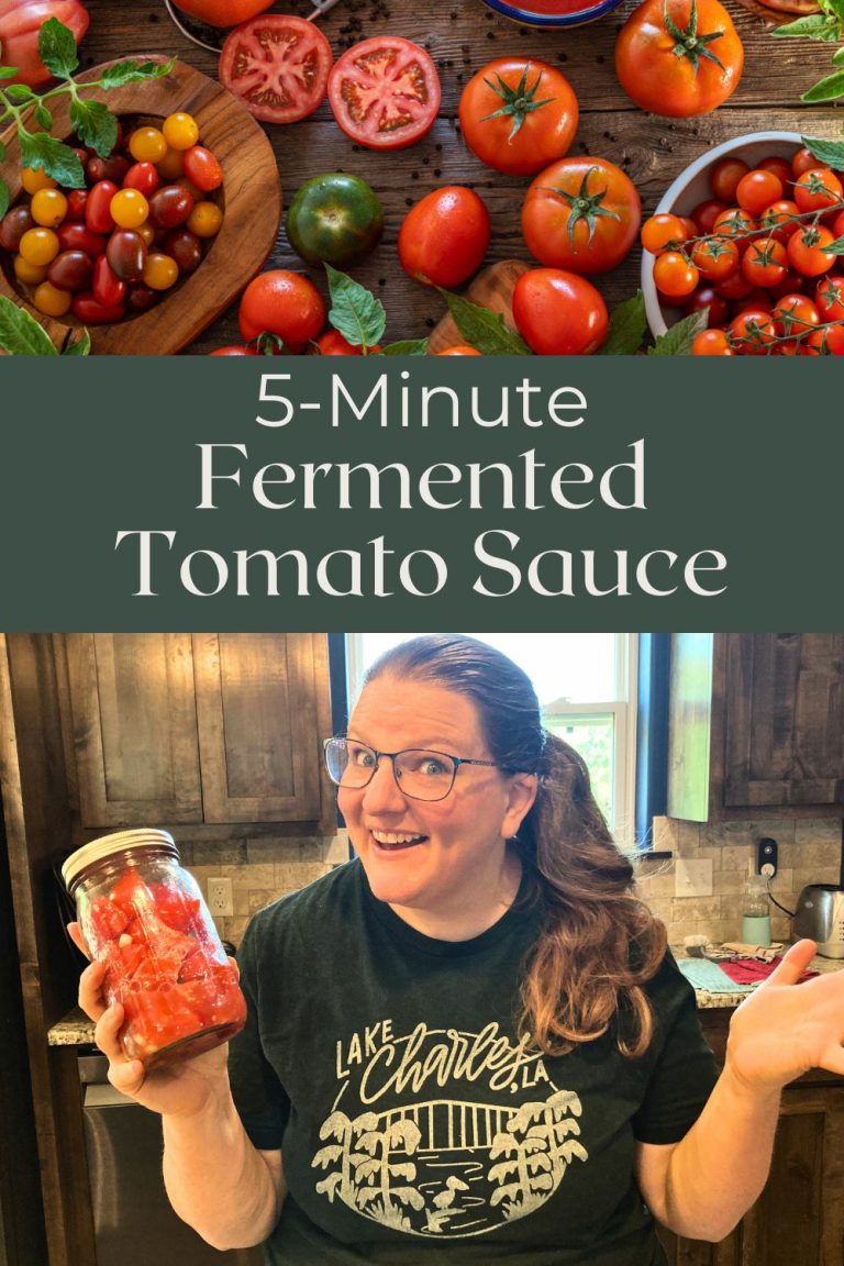 Quick and Easy 5-Minute Fermented Tomato Sauce Recipe - From the Roots up