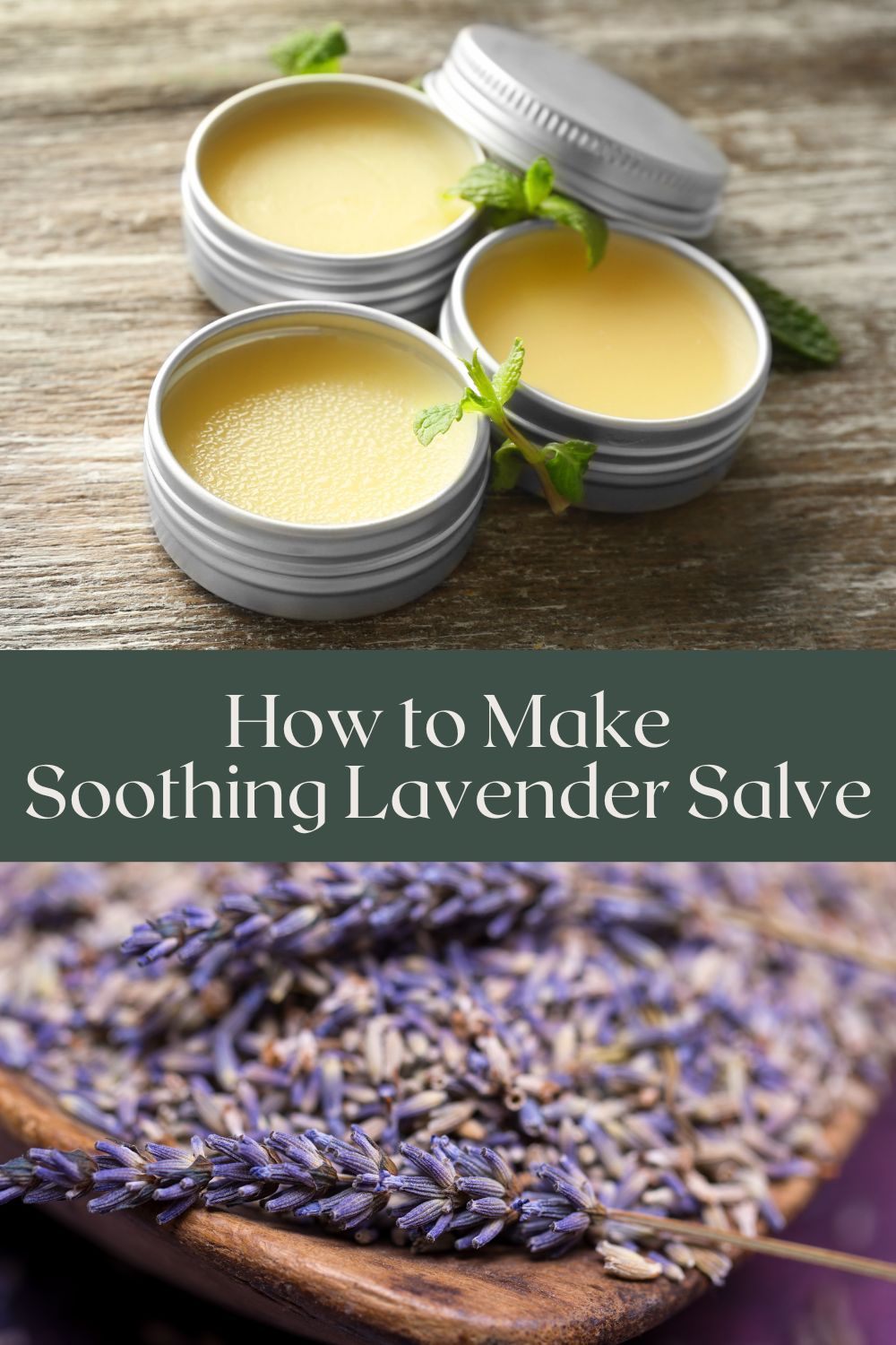 How to Make Healing Lavender Salve: Skin Soothing Recipe - From the ...